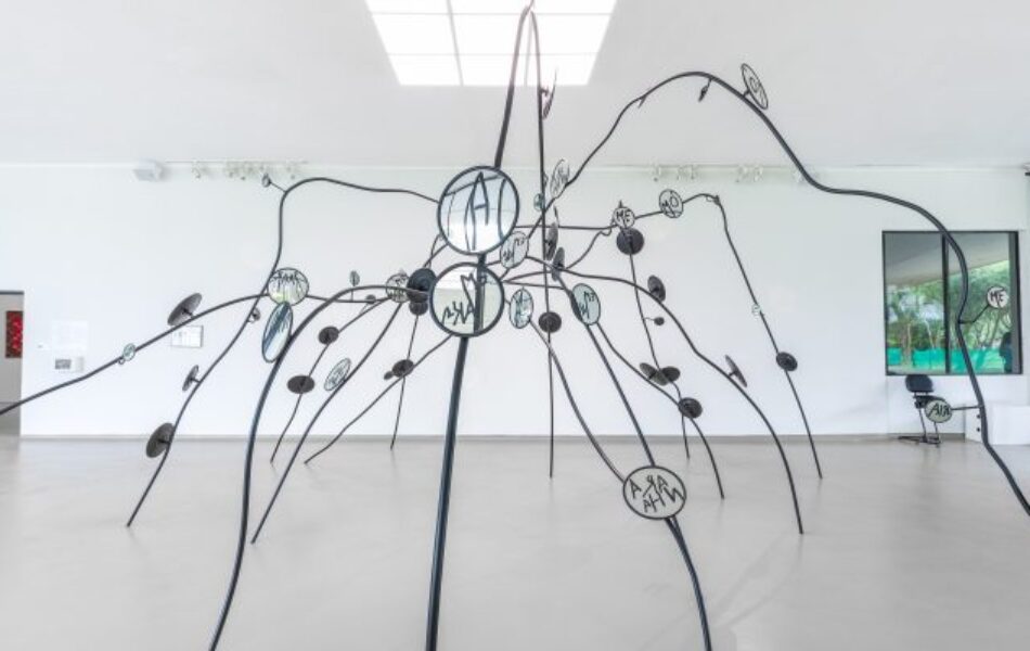 Conversa com a artista Lenora de Barros - MAM